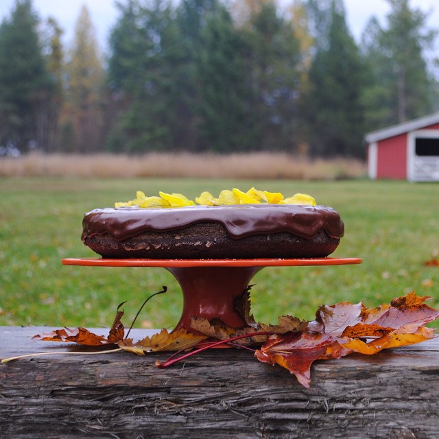 Chocolate Beet Cake Recipe | The Feedfeed