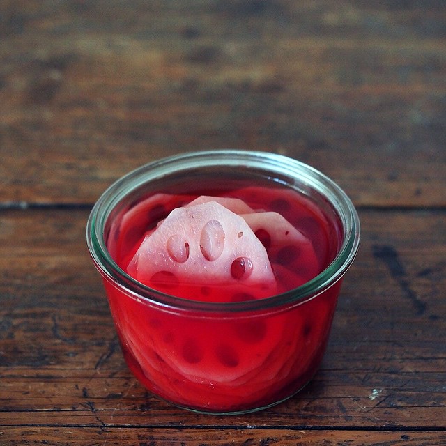 Quick Pickled Lotus Recipe | The Feedfeed