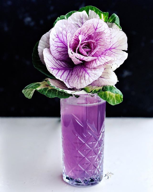 Blue Tea Gin Cocktail Recipe | The Feedfeed