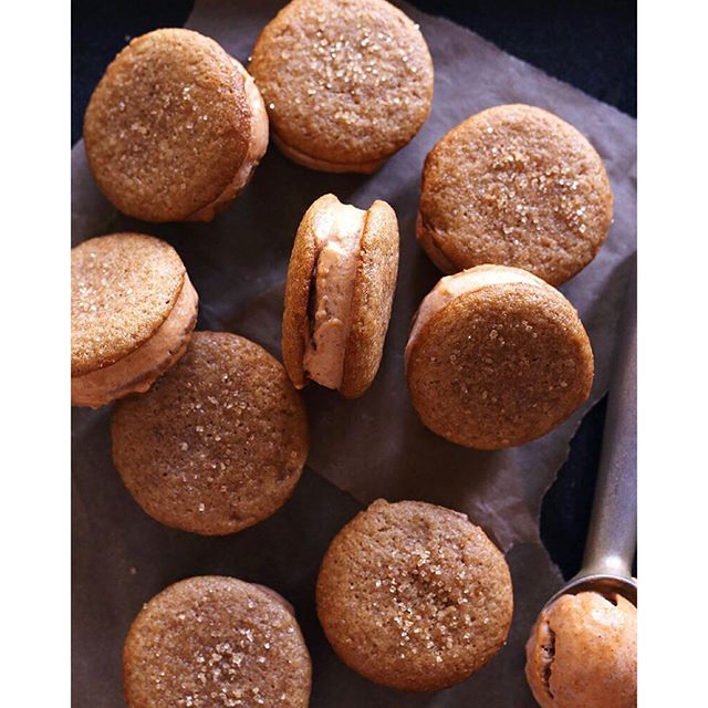 Pumpkin Spice Graham Cracker Ice Cream Sandwiches Recipe | The Feedfeed Pumpkin Spice Graham Cracker Ice Cream Sandwiches Recipe | The Feedfeed