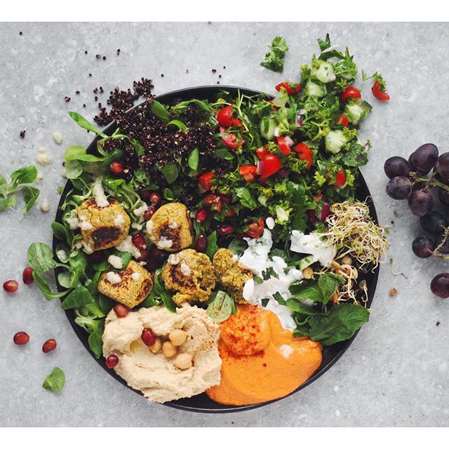 Middle Eastern Veggie Bowl Recipe | The Feedfeed