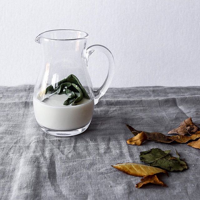 Sage Cream Recipe | The Feedfeed