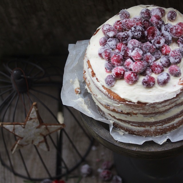 Cranberry Cake Recipe | The Feedfeed