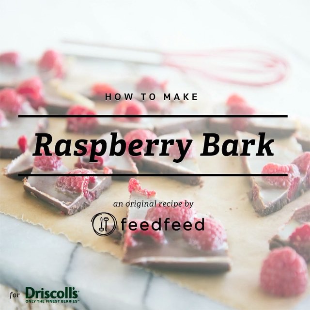 Chocolate Raspberry Bark recipe | The Feedfeed