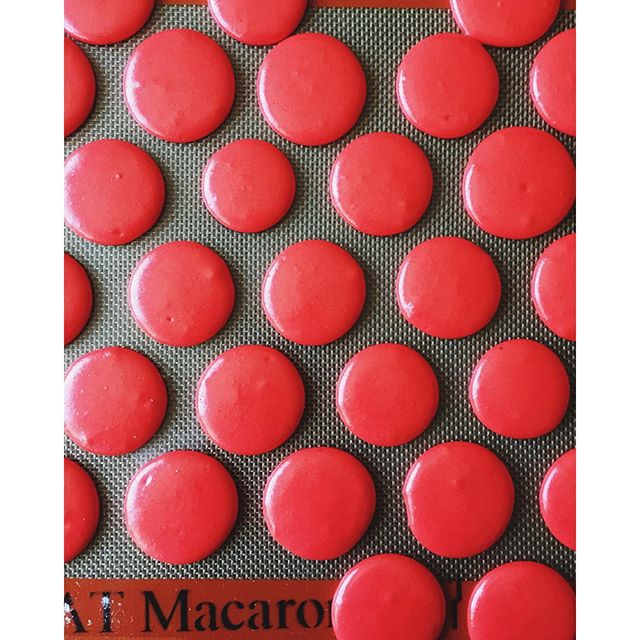 White Chocolate Macarons Recipe | The Feedfeed