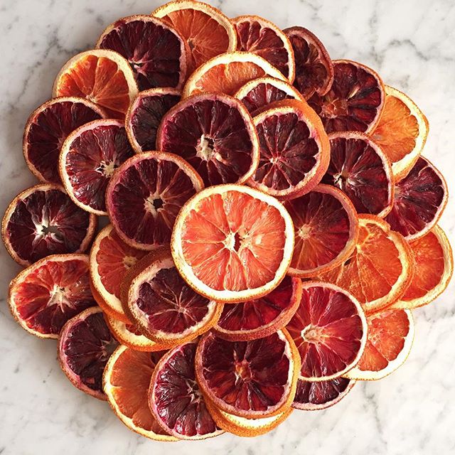 Citrus Wheels Recipe | The Feedfeed