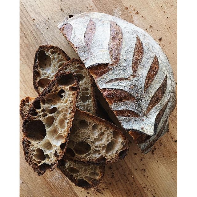 Sourdough Loaf Recipe | The Feedfeed