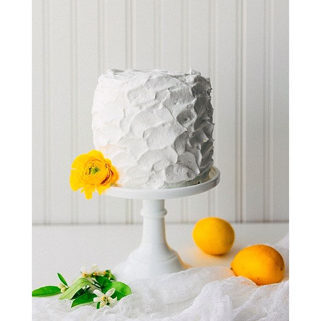 Meyer Lemon Dream Cake Recipe | The Feedfeed
