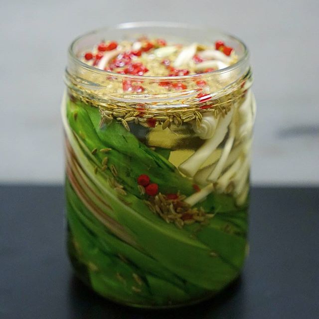 Pickled Ramps For A Ramp Gibson Martini Recipe | The Feedfeed