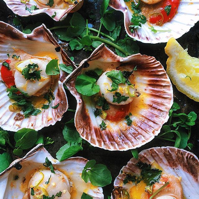 Diver Scallops With Green Chili And Cilantro Recipe | The Feedfeed