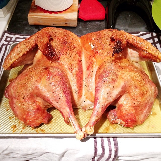 Spatchcocked Turkey Technique Recipe | The Feedfeed