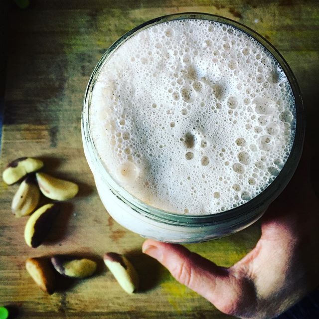 Homemade Nut Milk Recipe | The Feedfeed