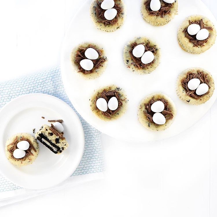Bird's Nest Mini Oreo Cheesecakes Recipe | The Feedfeed