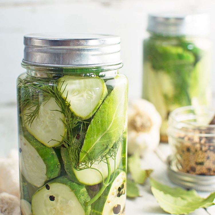 Garlic Dill Picnic Pickles Recipe | The Feedfeed