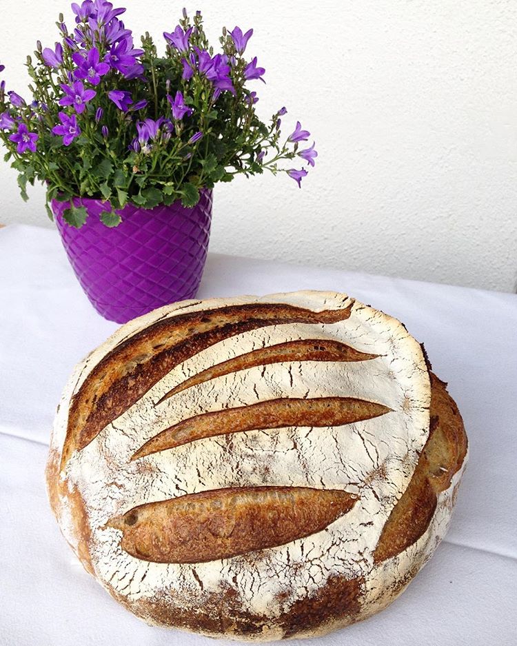 Oyster Shell Sourdough Bread Recipe | The Feedfeed