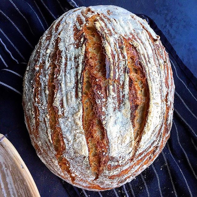 Homemade Sourdough Loaf Recipe | The Feedfeed