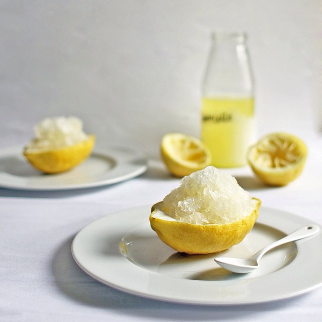 Lemon Granita Recipe | The Feedfeed