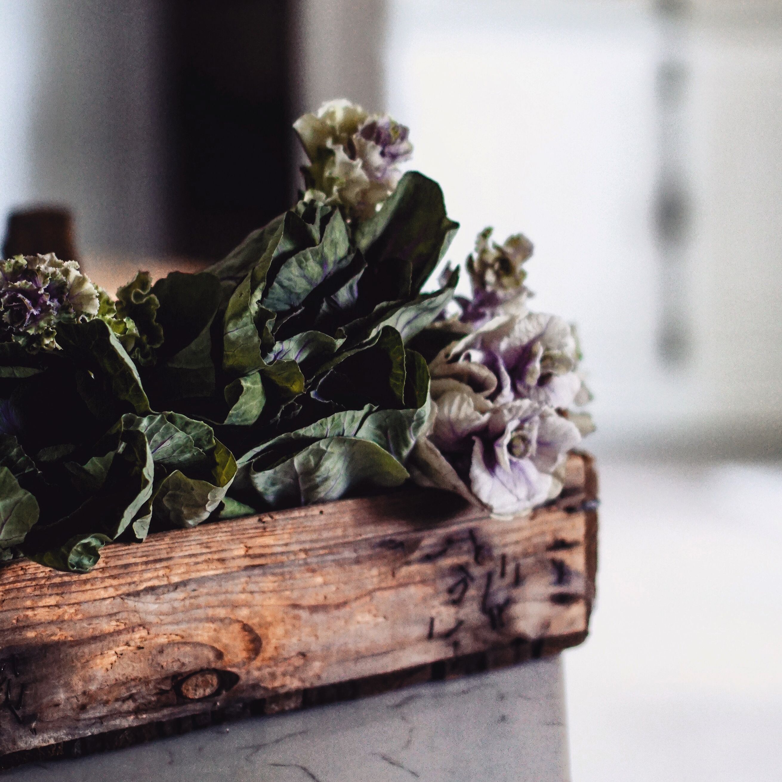 Amanda Buffington (@cocoplumkitchen) Profile, Photos & Recipes | The ...