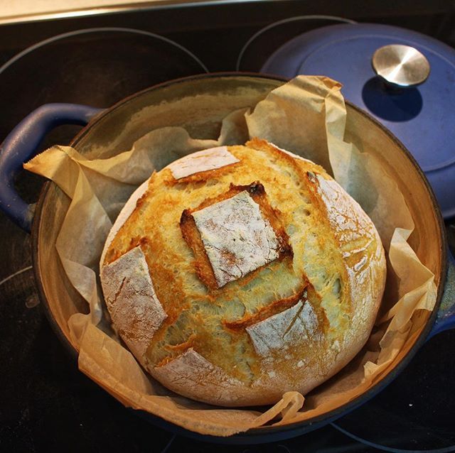 Easy No Knead Boule Recipe | The Feedfeed