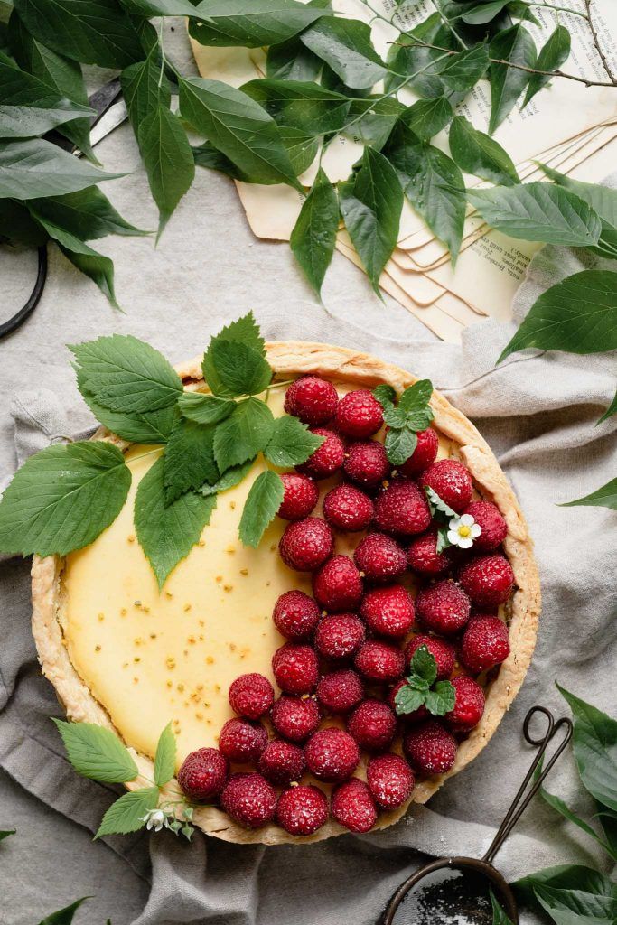 Lemon Curd Cheesecake with Raspberries Recipe | The Feedfeed