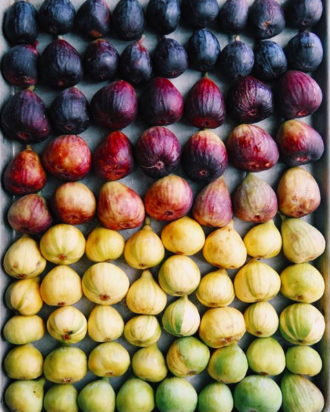 Fresh Fig Gradient Recipe | The Feedfeed