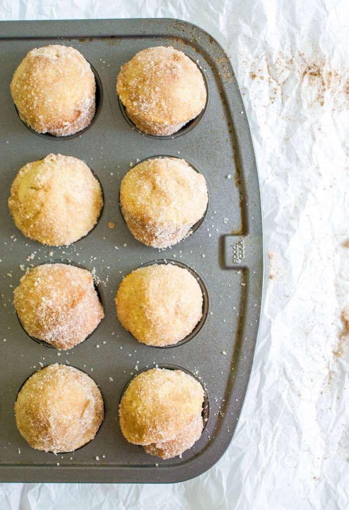 Mini Cinnamon Sugar Doughnuts Recipe | The Feedfeed