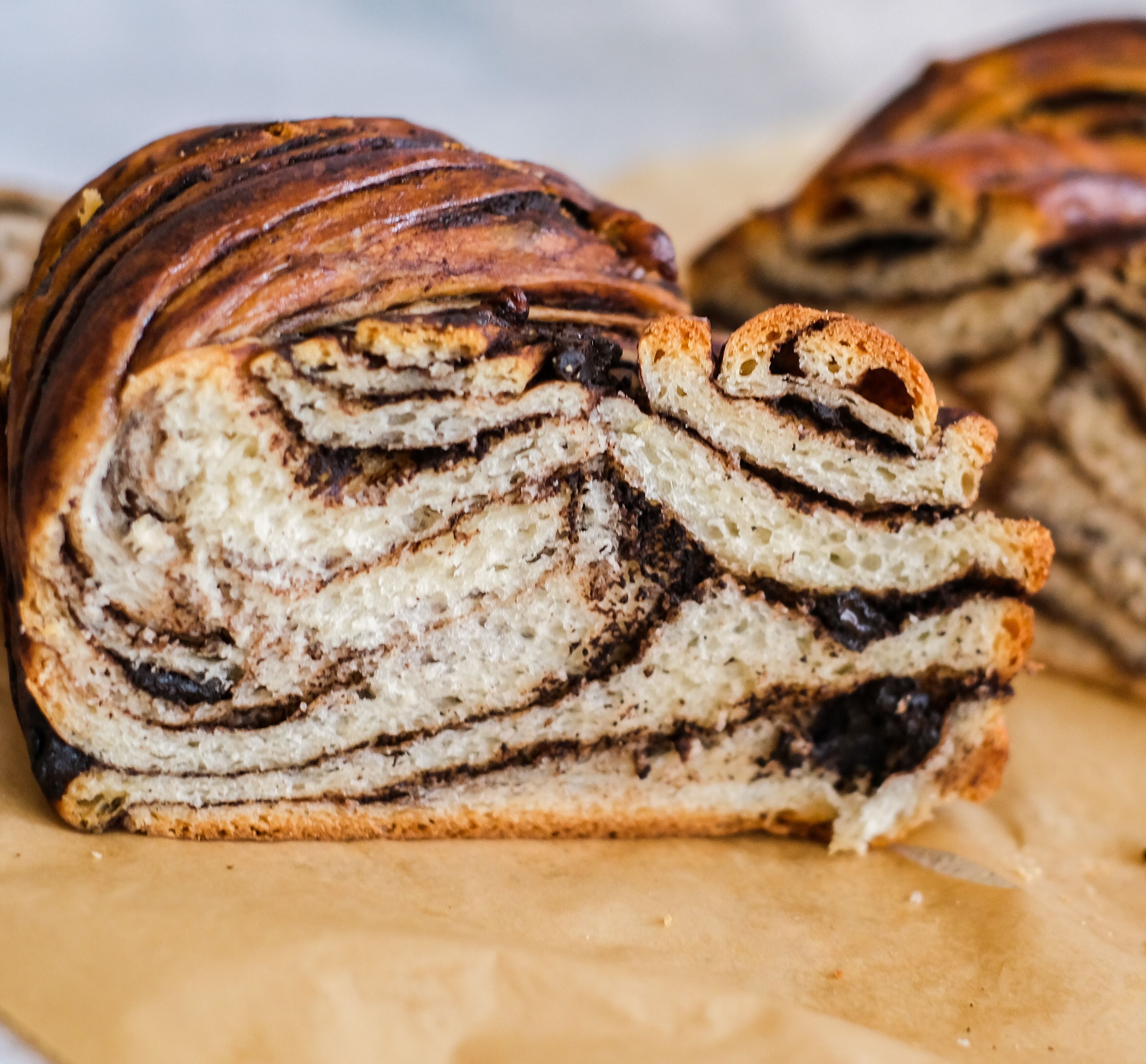 50+ of the Babka Recipes on The Feedfeed