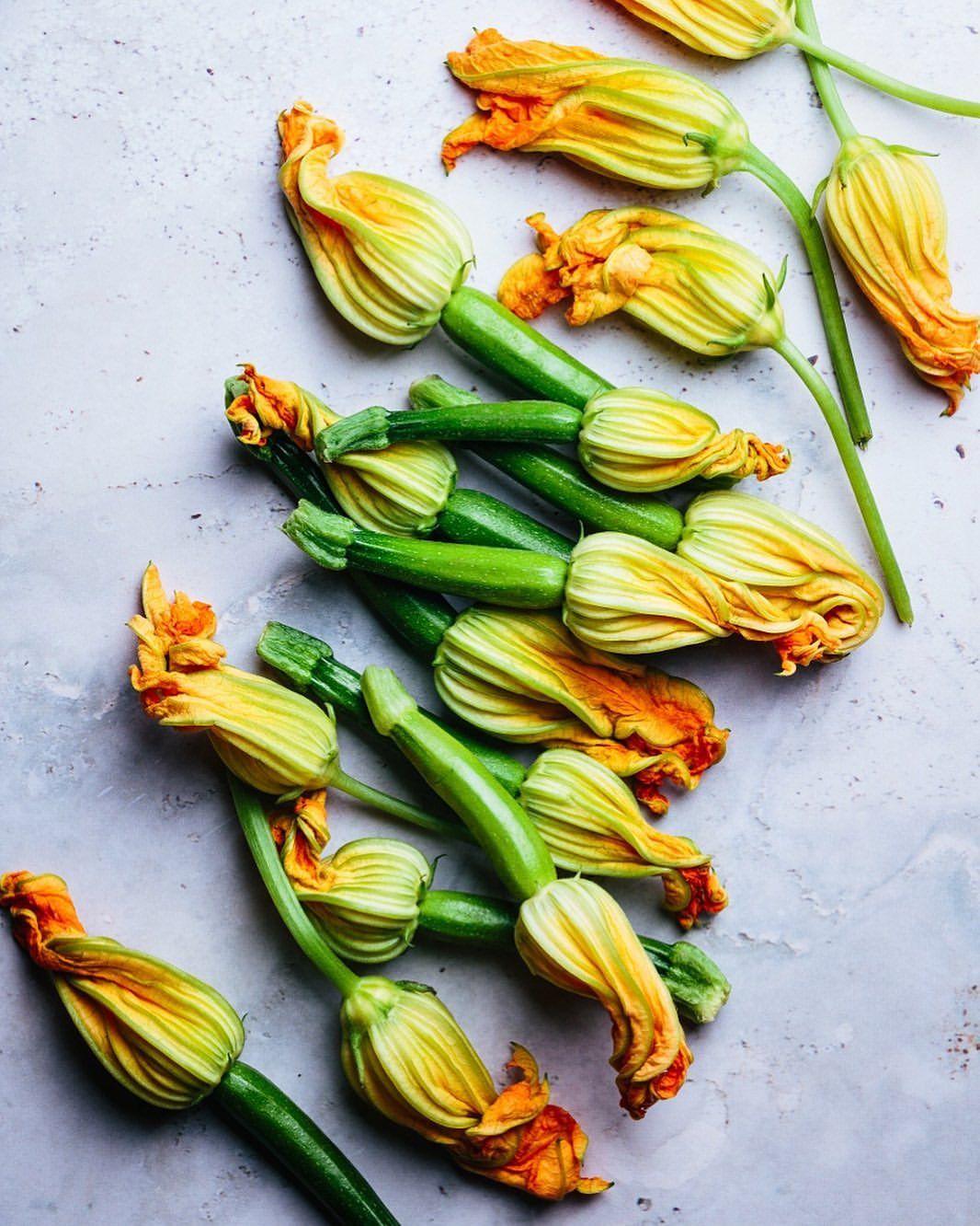 Zucchini Blossoms Recipe | The Feedfeed