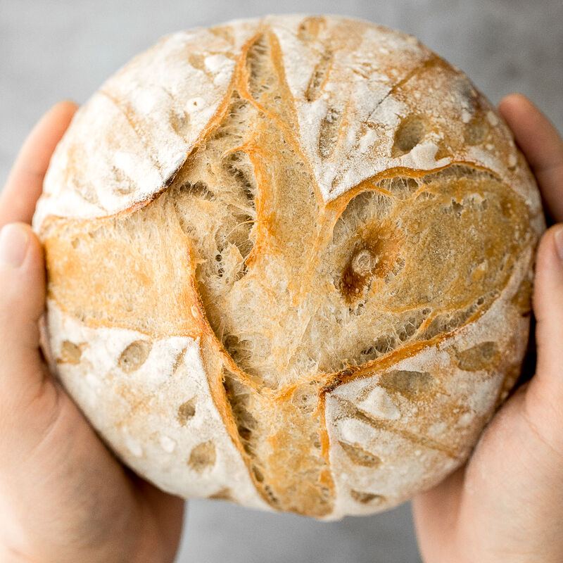 Small Batch Sourdough Loaf Recipe | The Feedfeed