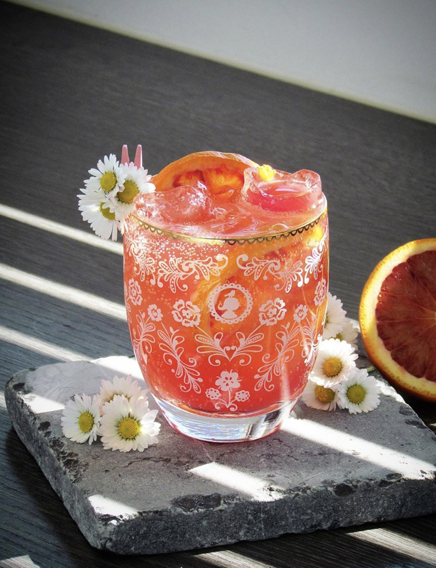 Blood Orange and Gin Cocktail Recipe | The Feedfeed