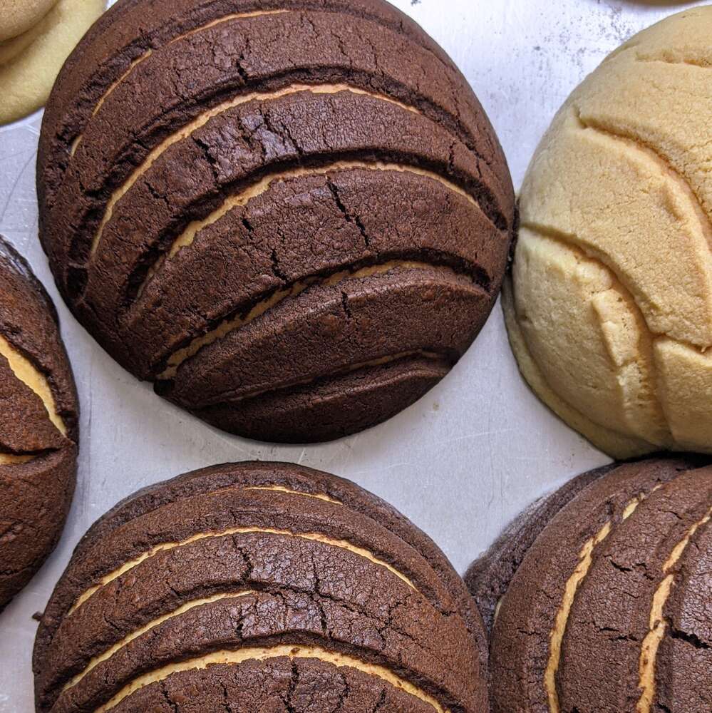 Conchas (Mexican pan dulce) Recipe | The Feedfeed