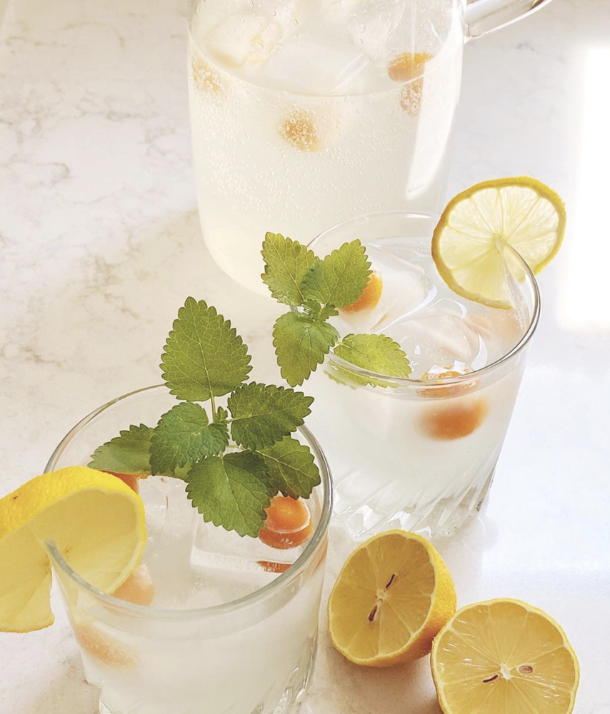 Triple Citrus Spritzer Recipe | The Feedfeed