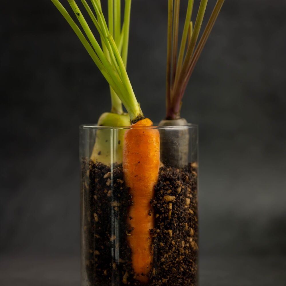 Edible Earth Recipe | The Feedfeed