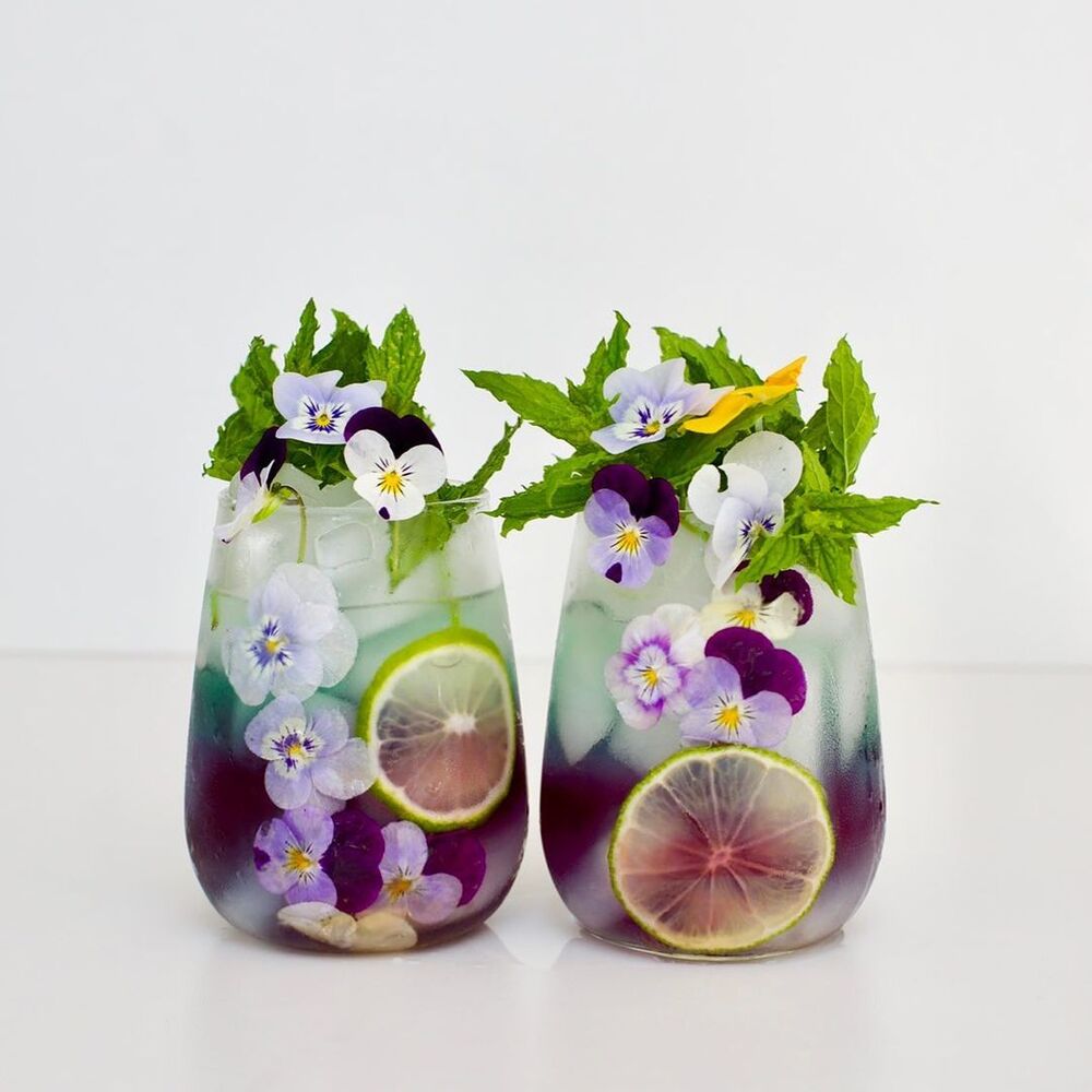 Pea Flower Tea Recipe | The Feedfeed