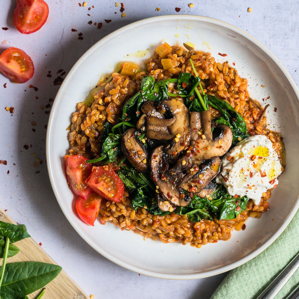 50+ of the best Ancient Grains Recipes on The Feedfeed