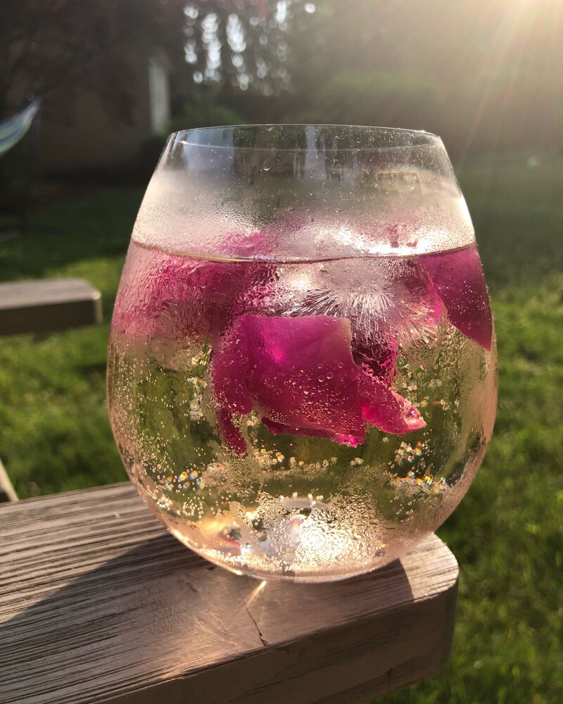 How To Make A Peony Cocktail | Video Recipe The Feedfeed