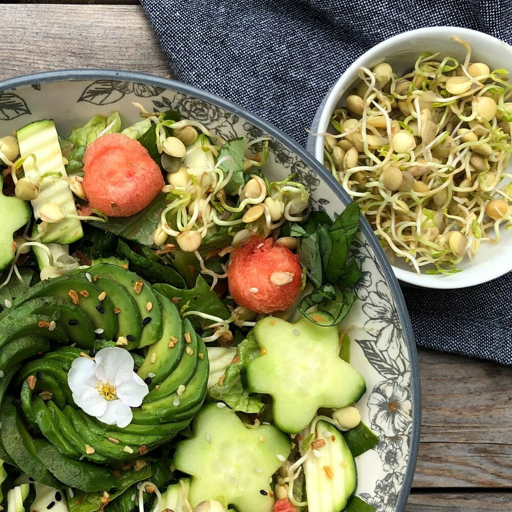 How to grow sprouts - a simple guide – the hungry dragonfly Recipe ...