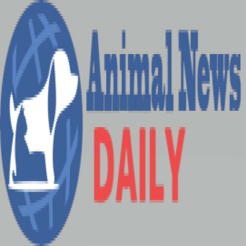 Animal News 24 - Latest Updates on Wildlife, Pets, and More ...