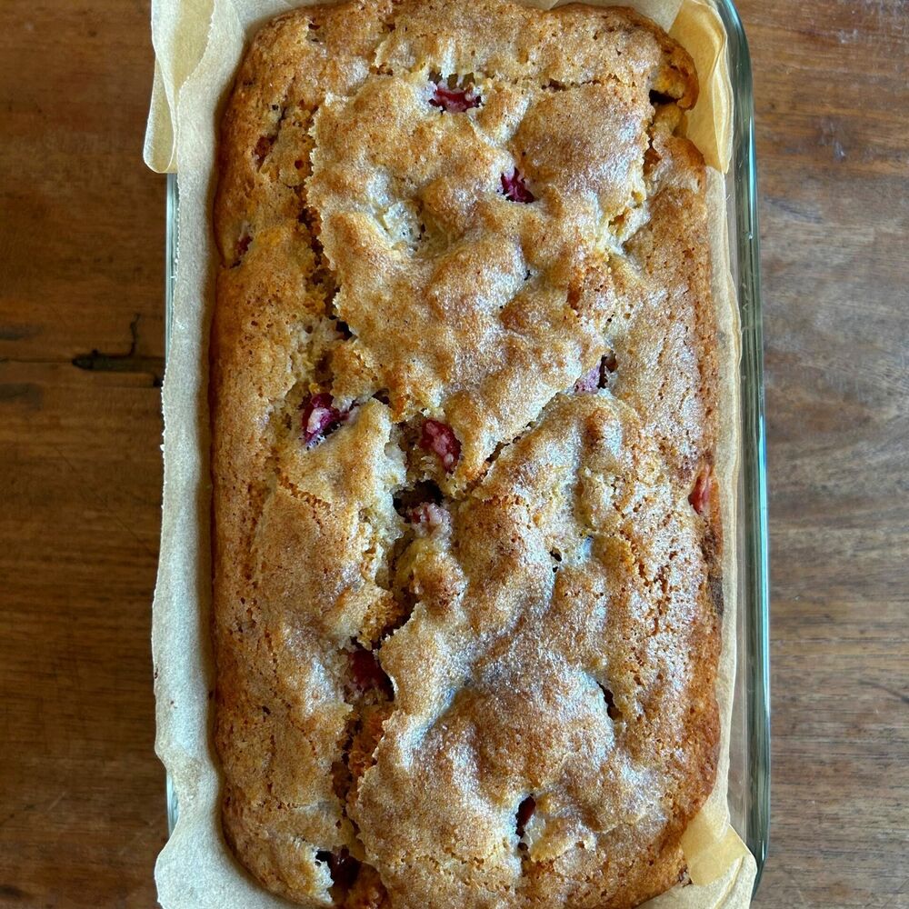 Rhubarb Quick Bread Recipe | The Feedfeed