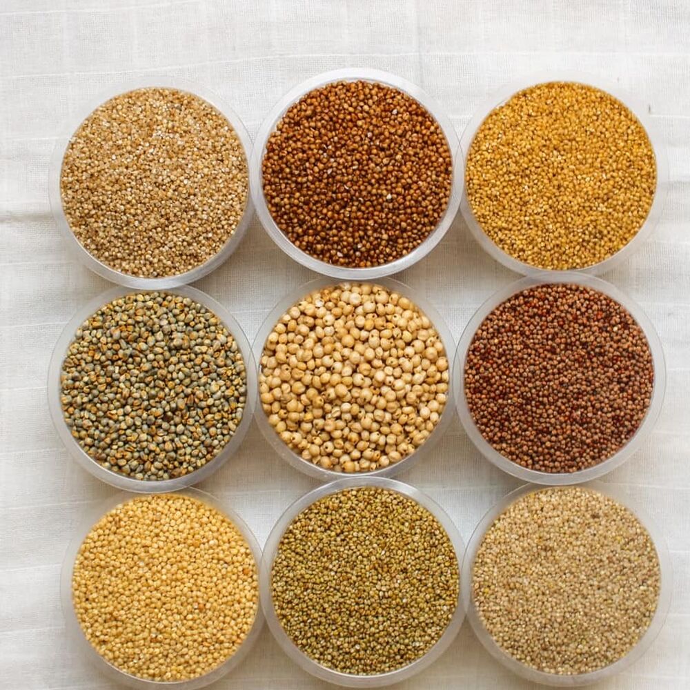 All about millet and different millet types Recipe | The Feedfeed
