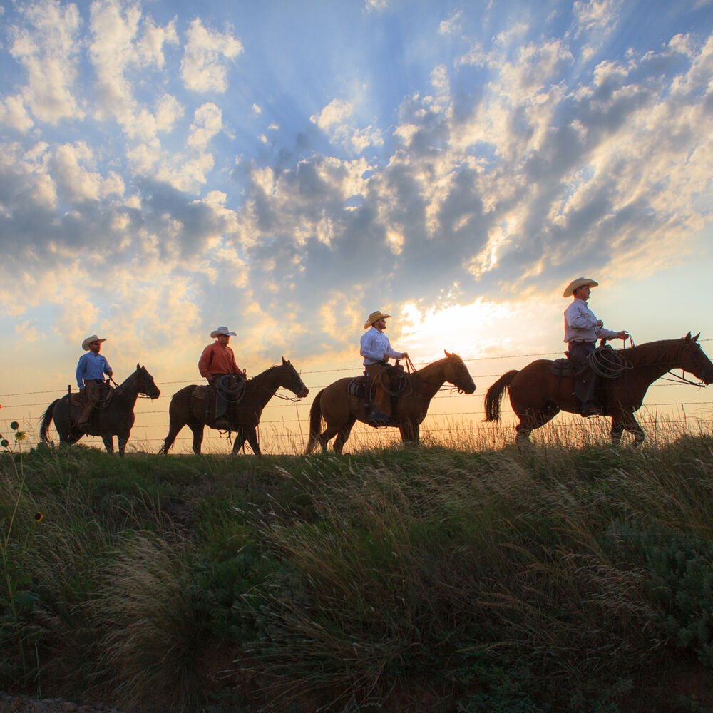 Ask a Rancher: How Beef is Raised from Coast to Coast by thefeedfeed ...