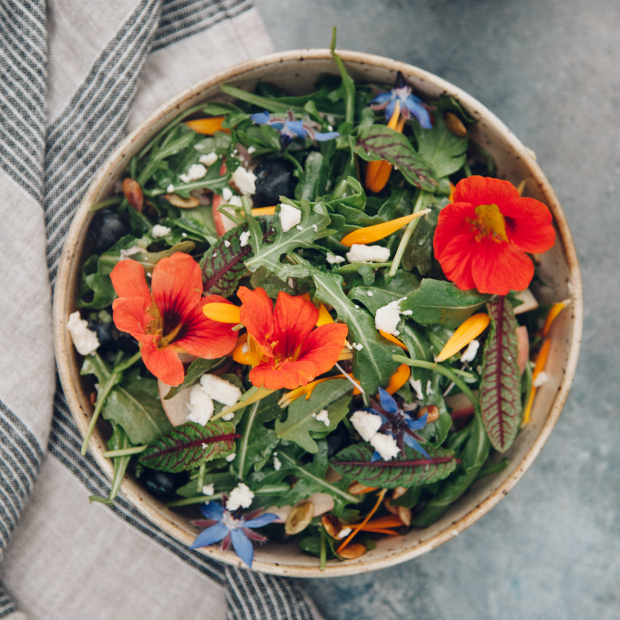 A Visit To Earthbound Farm's Farm Stand by kevmasse, New York City ...