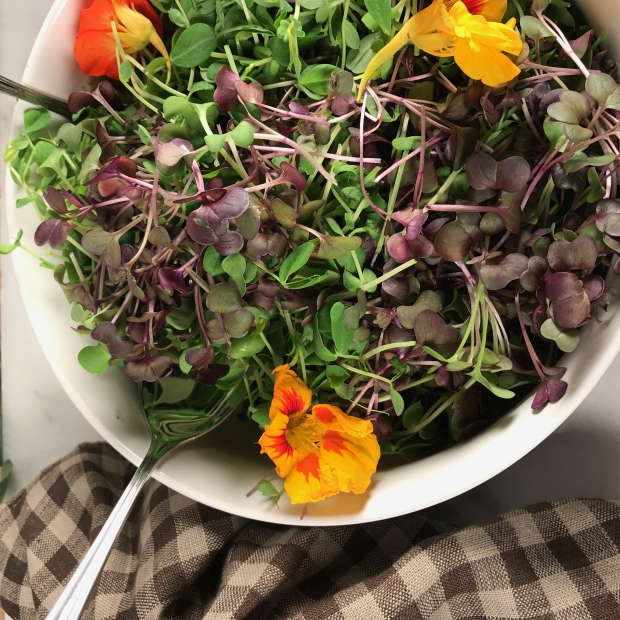 Mixed Microgreen Salad by thefeedfeed, | The Feedfeed